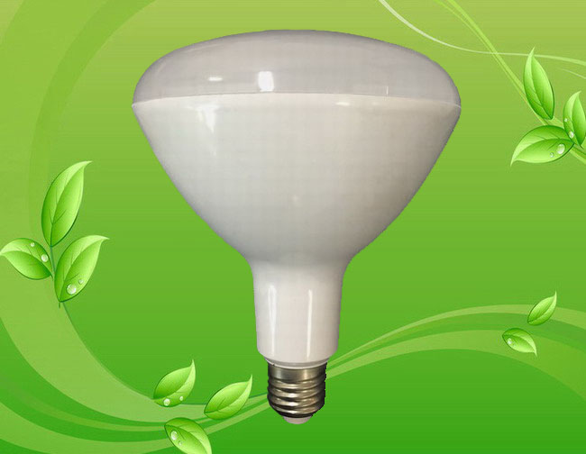 2x10W LED PAR38 fitting with 2pcs HV LED PAR38 lamps, with PIR sensor ...